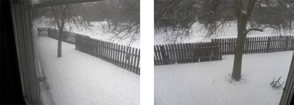 All Things Created: Waiting for the snow