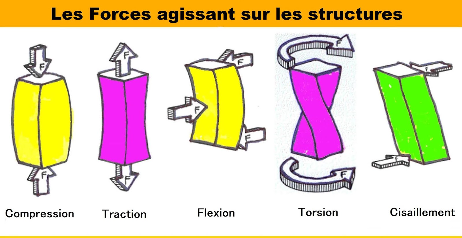 Les forces agissant sur les structures Les forces agissant sur les structures