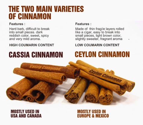 Where cinnamon comes from : r/educationalgifs