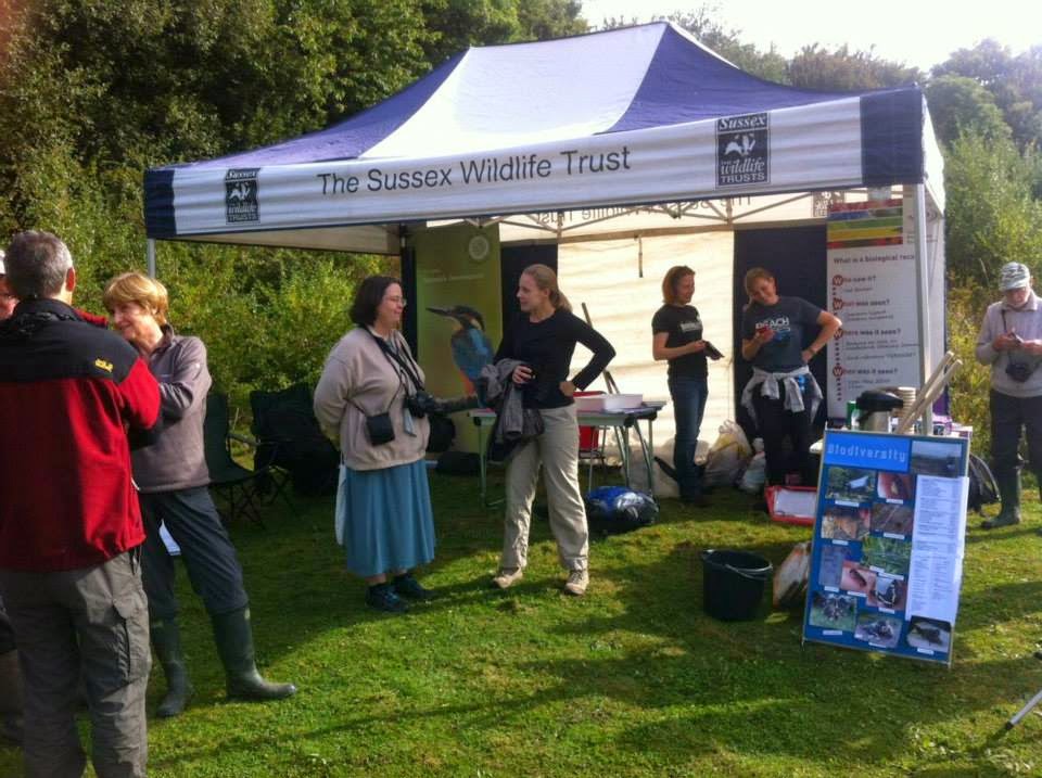 Biodiversity Gatwick: Gatwick's first Wildlife Recording Day