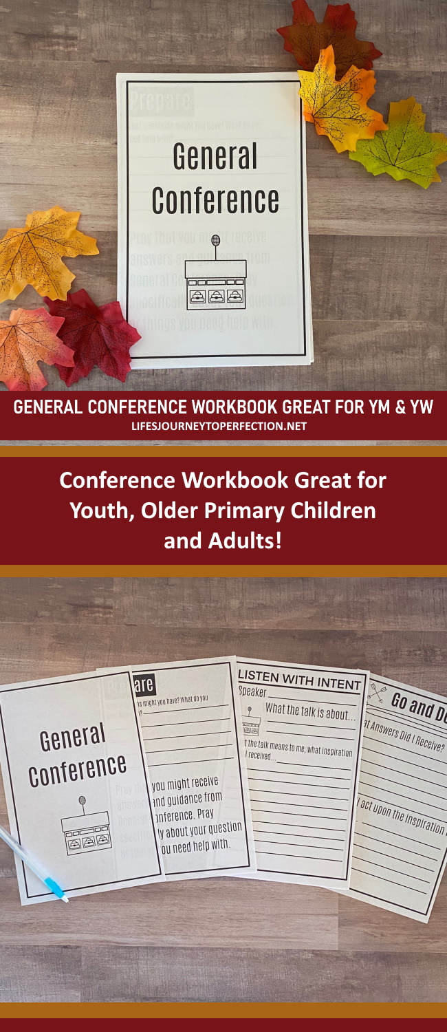 Life's Journey To Perfection: General Conference Workbook for Youth, Older Primary Children and ...