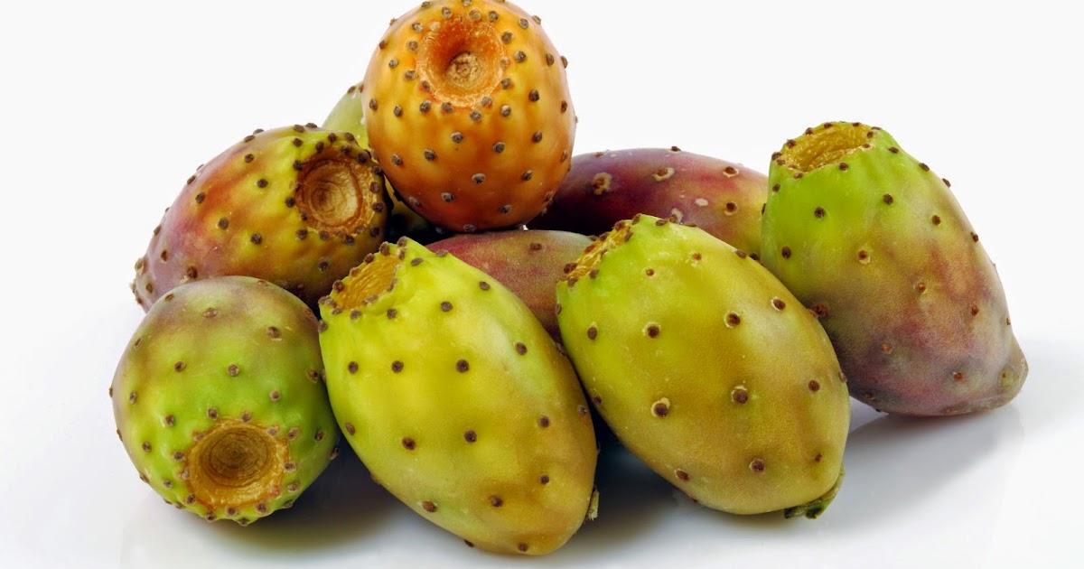 Secretos Revelados: La Tuna y sus propiedades