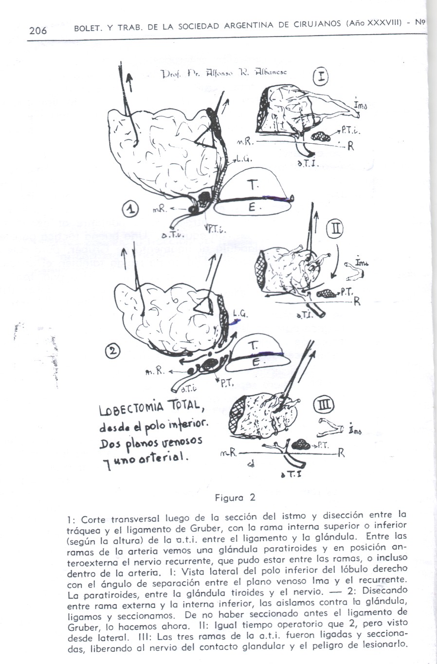 Cuadernos de Anatomía Quirúrgica: Técnica y táctica personal de la ...