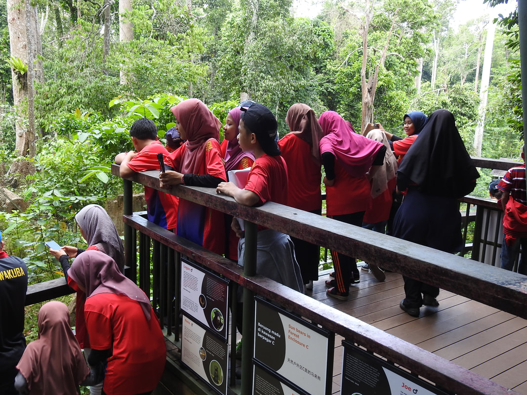 Siew Te Wong's Sun Bear Journal: SK Jeroco, Lahad Datu and SK Wakuba ...