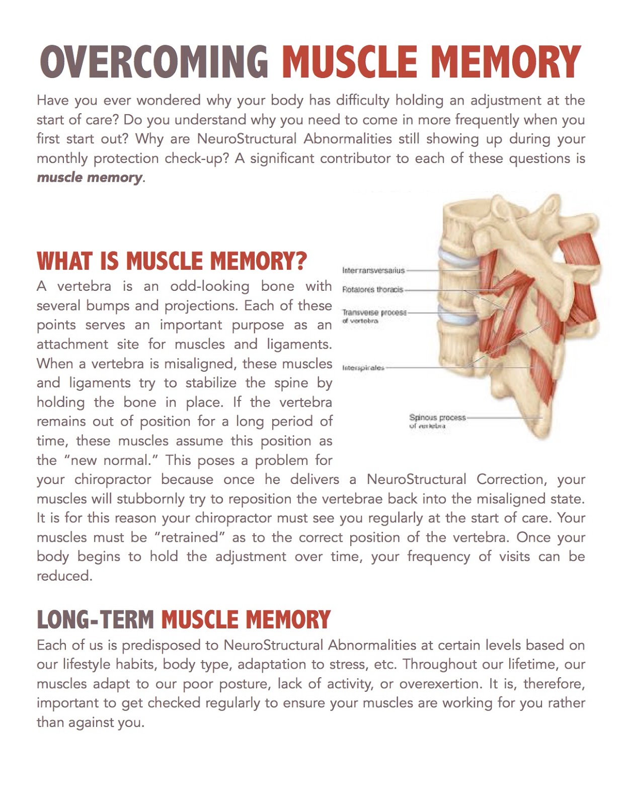 True ChiropracTIC: Overcoming Muscle Memory
