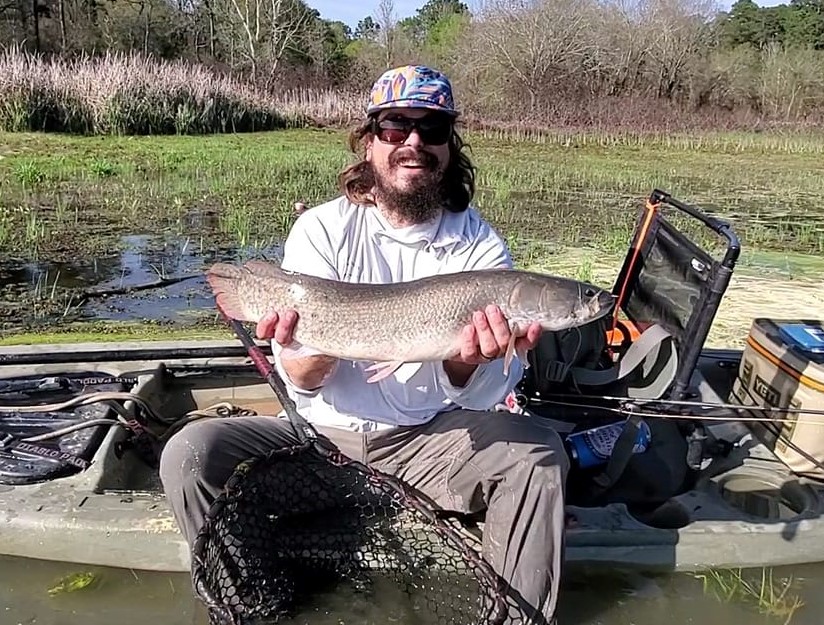 Fish Spotlight: Bowfin