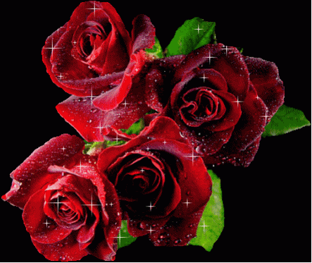 Paling Keren 22+ Gambar Bunga Mawar Bergerak Gif - Gambar Bunga Indah