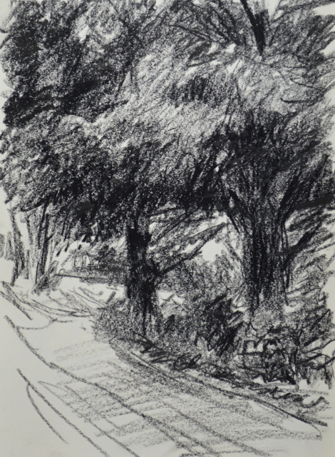 Mark and Remark: Road Side Trees