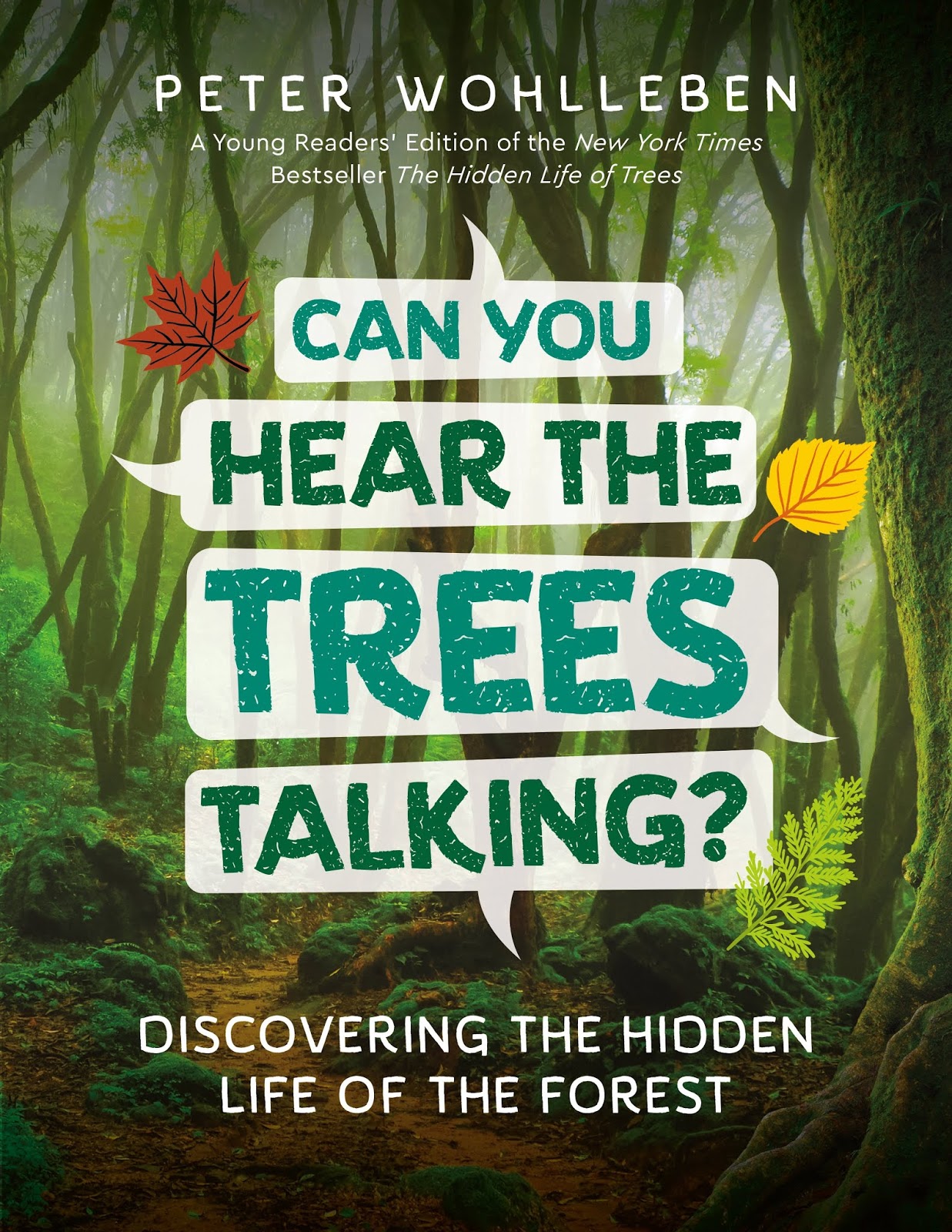 Kids' Book Review: Review: Can you Hear the Trees Talking?