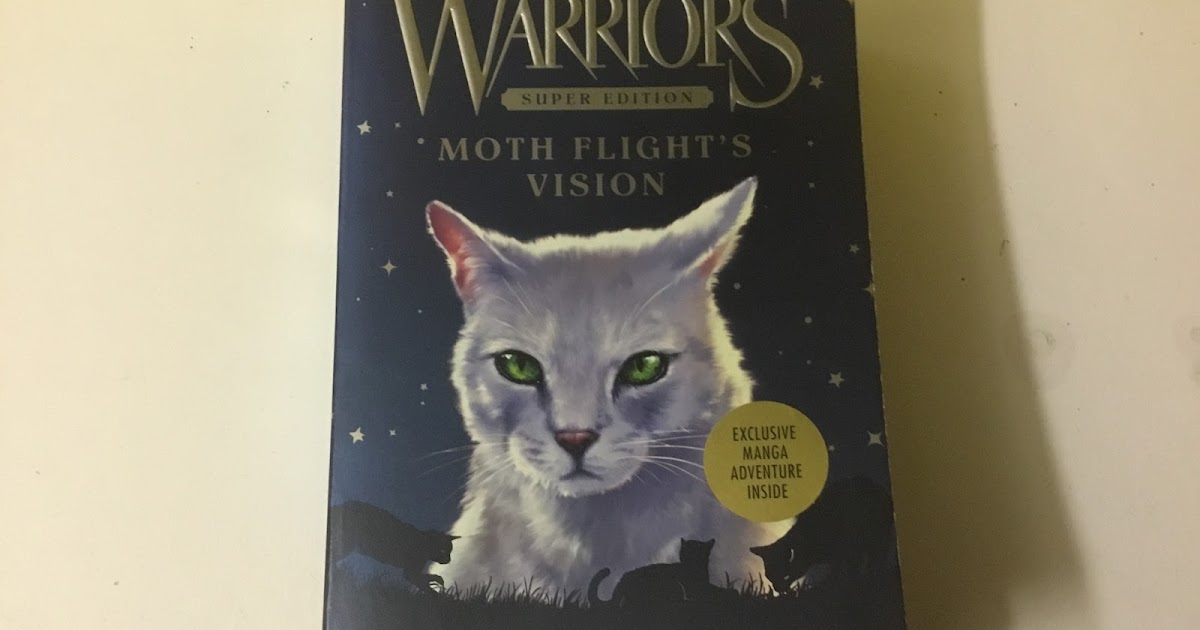 Moth Flight's Vision - Summary Essay