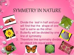 bhuvana maths and wonders: symmetry in nature