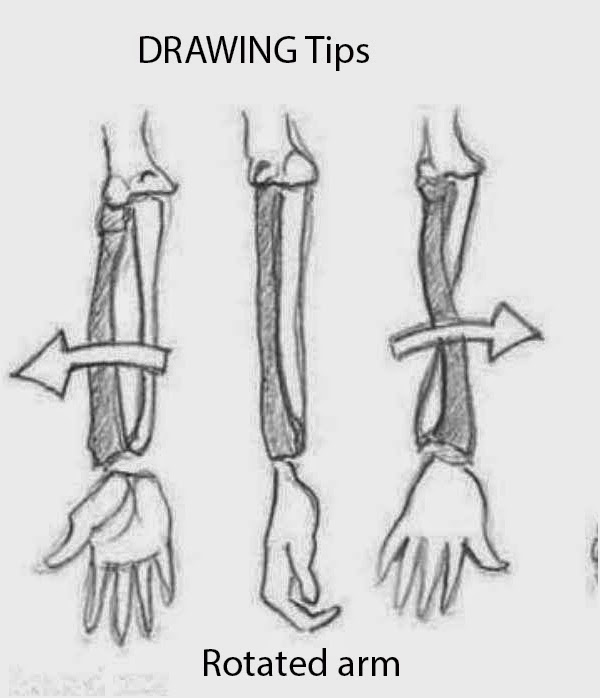 Drawings: DEPICTING THE ARM SIDE VIEW