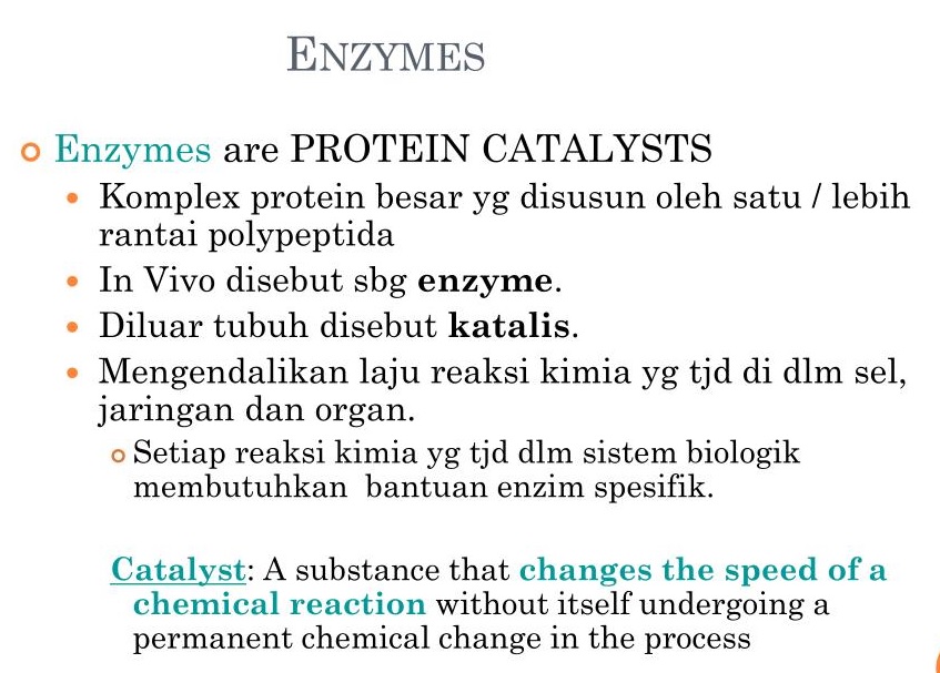 BIOLOGI GONZAGA: ENZIM METABOLISME