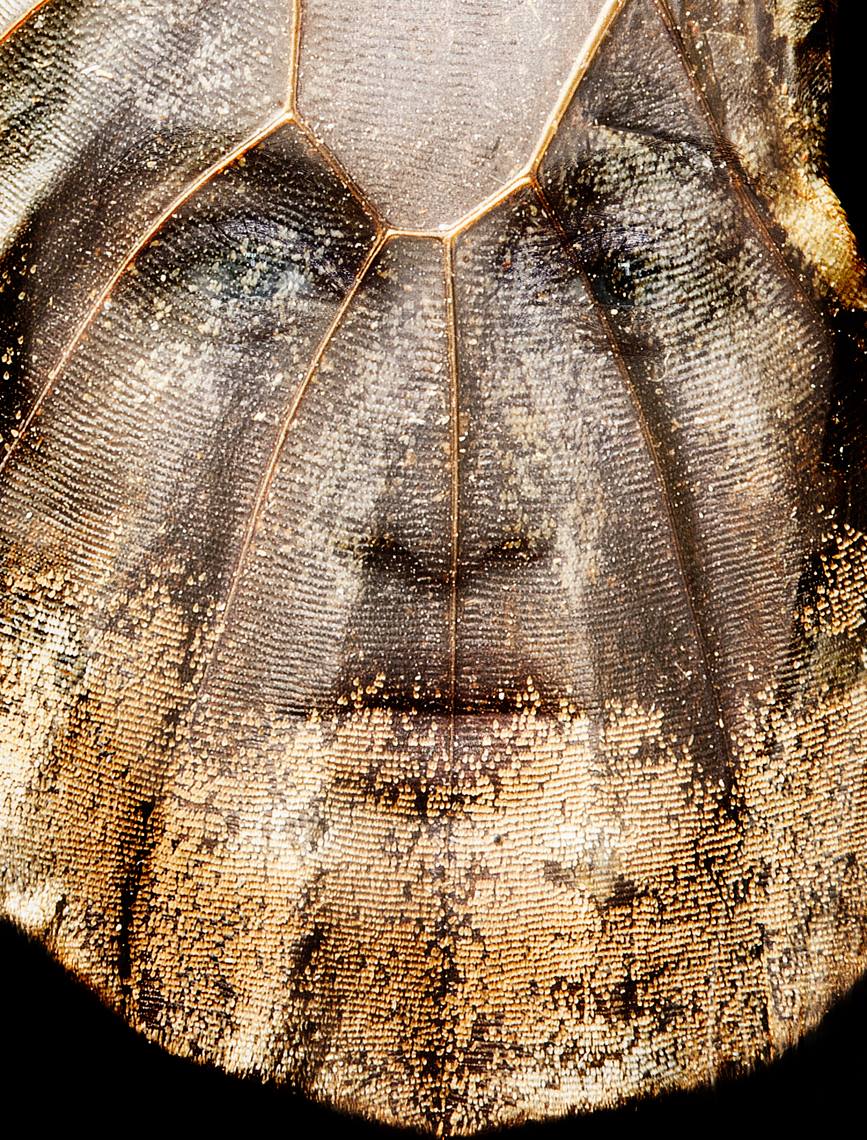 Carsten Witte (German photographer, 1964) | Tutt'Art@