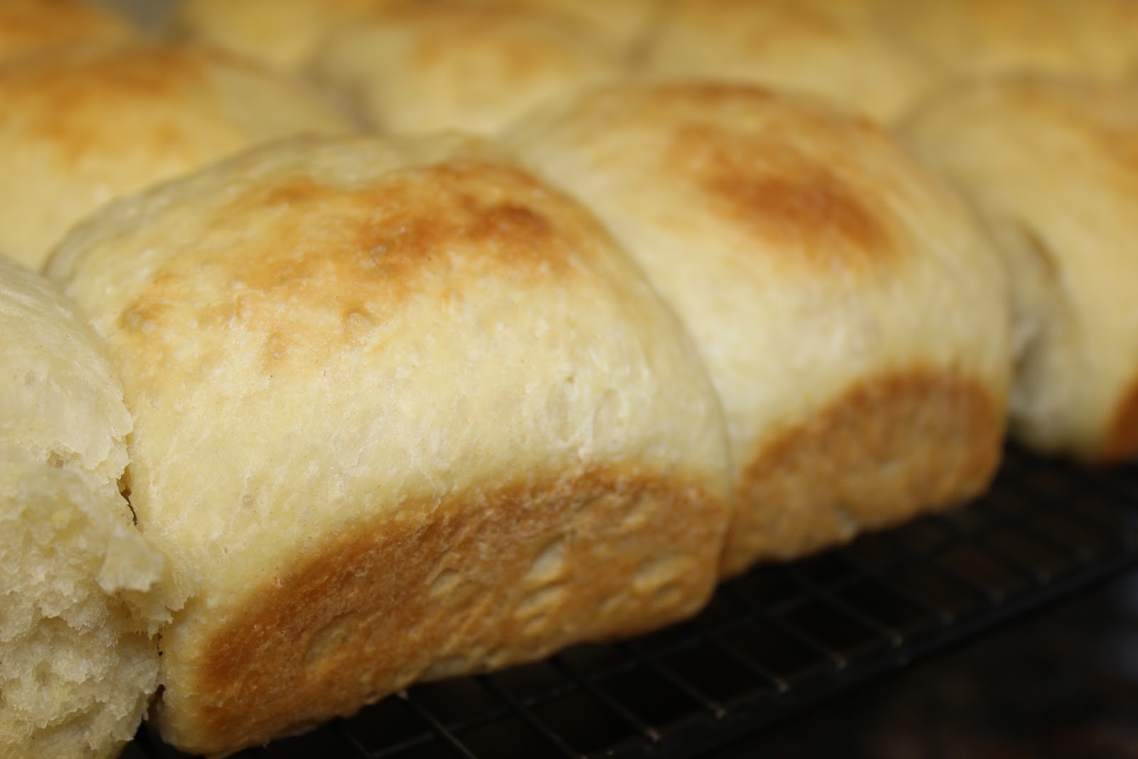 Just Call Me Betty: You Gotta Love the Amish: Amish Dinner Rolls