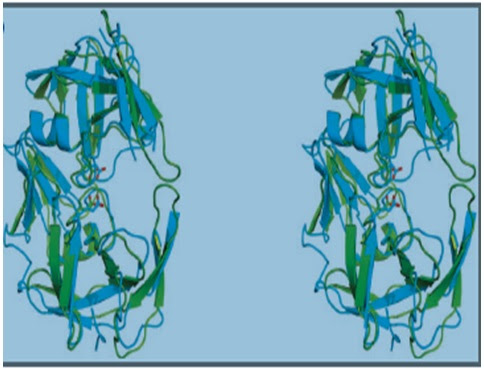 Enzim Protease (Biokimia Perikanan) - Melek Perikanan
