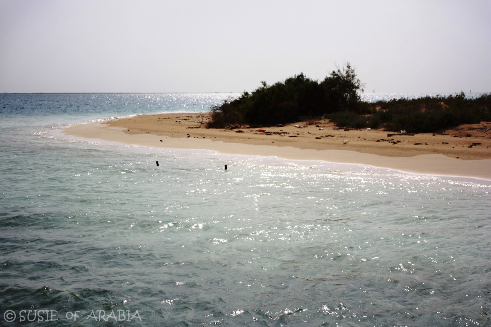 Jeddah Daily Photo: SkyWatch: Saudi Island