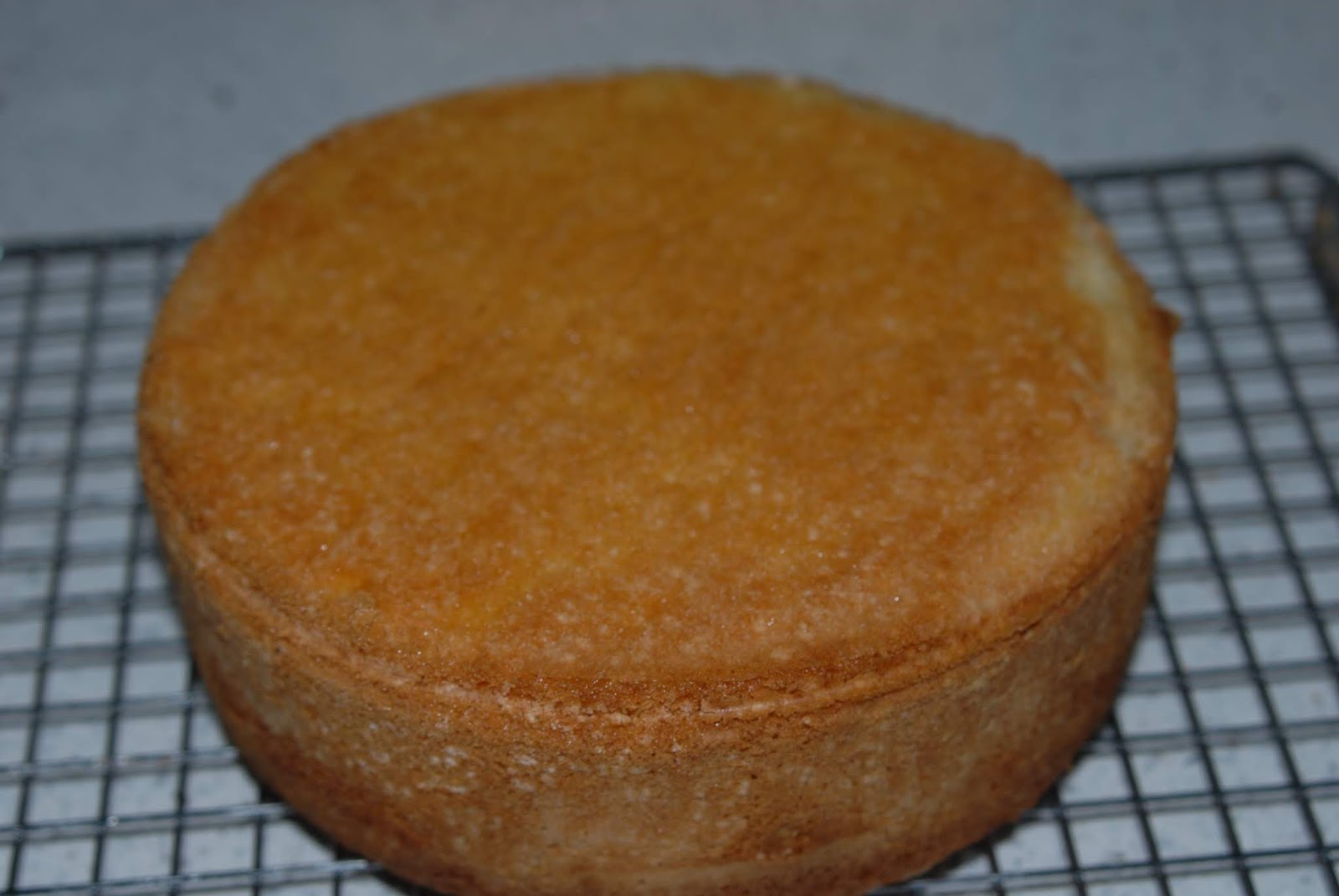 Bakemester Snipp: Sverigekake