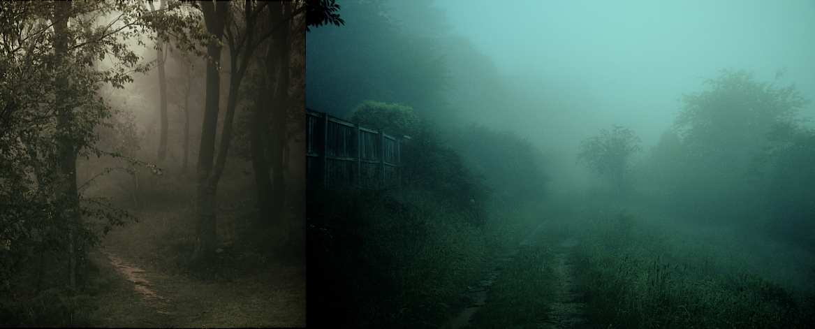 Mist and Woods: Pathways through Mist