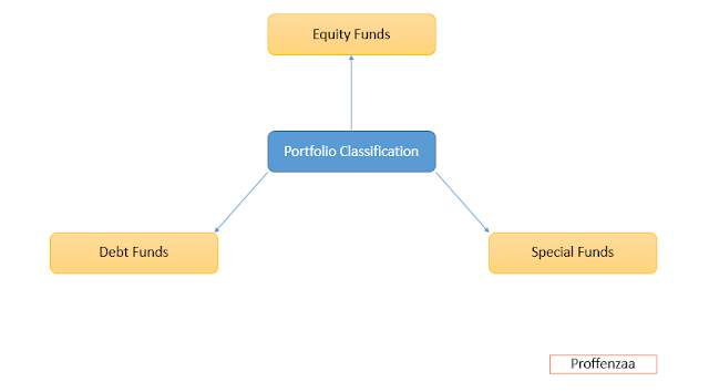 Portfolio Classification