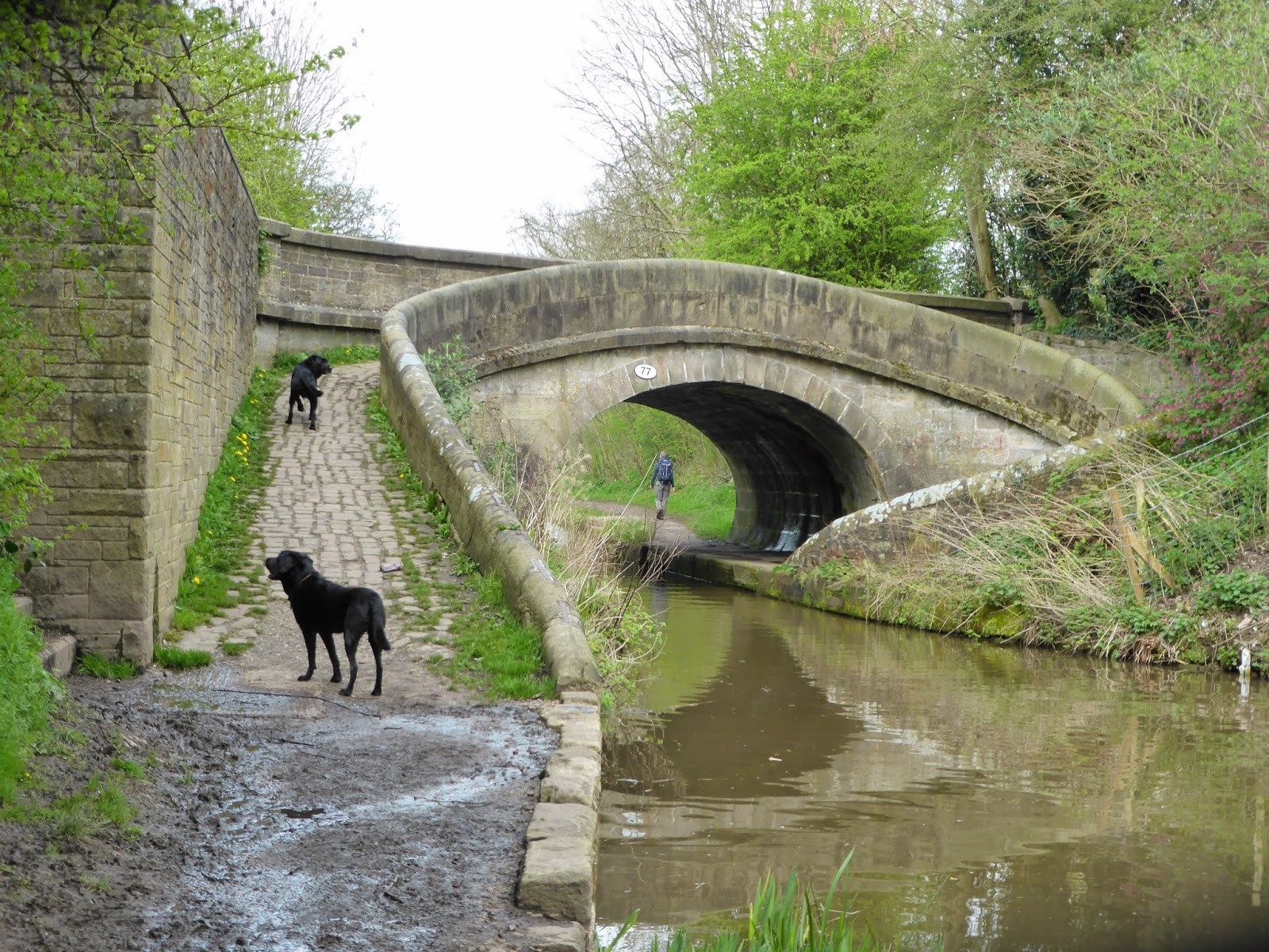 Nb.Yarwood: Into to Cheshire