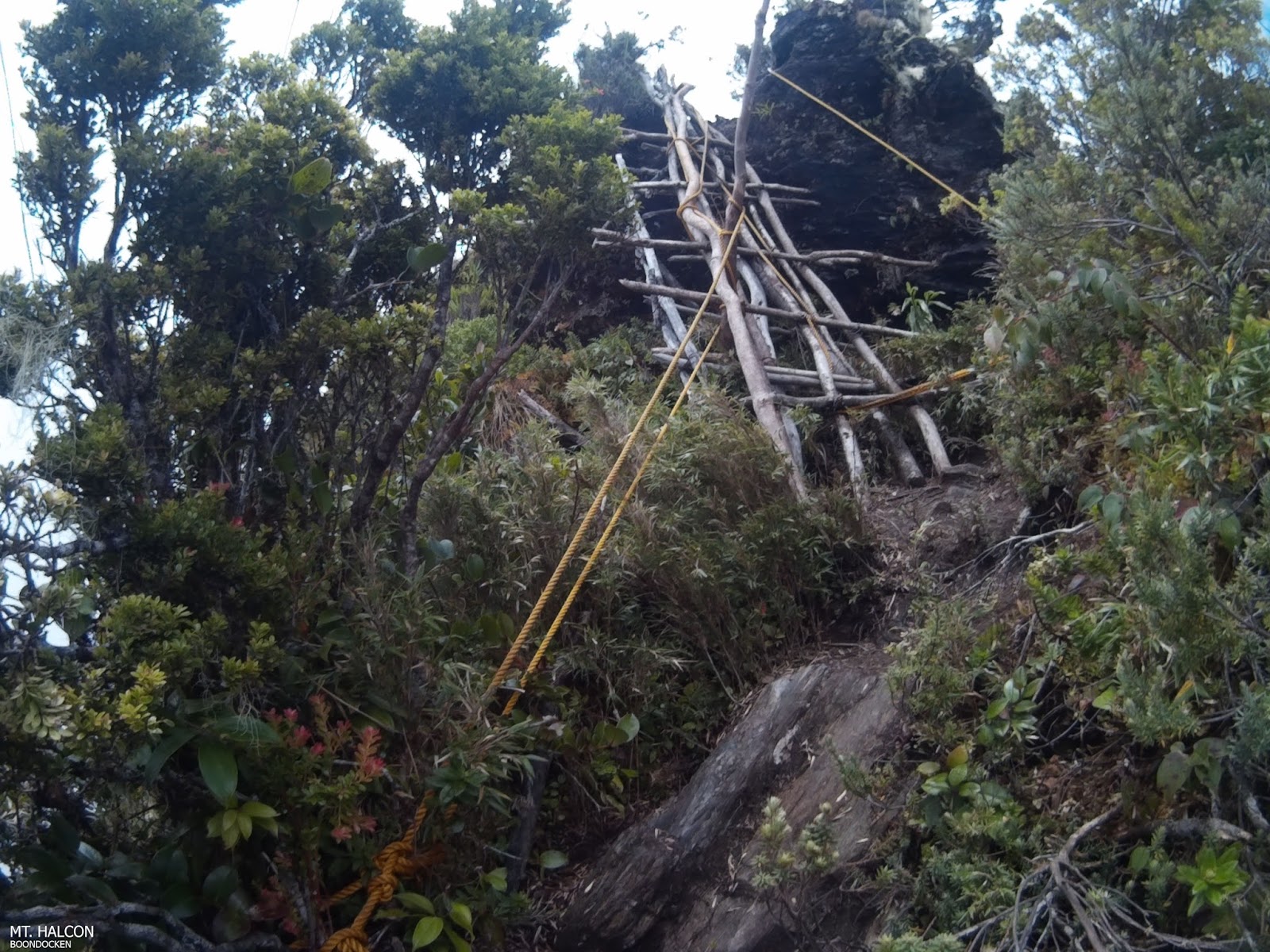 Mt. Halcon Dayhike | Boondocken