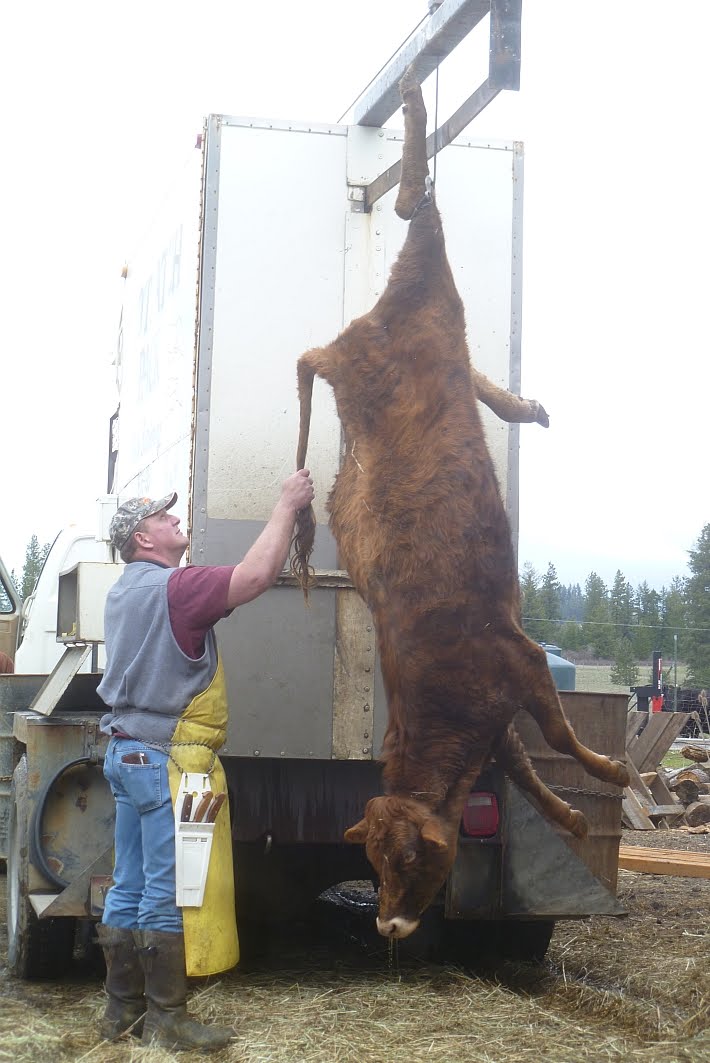 Rural Revolution: Butchering Pearly