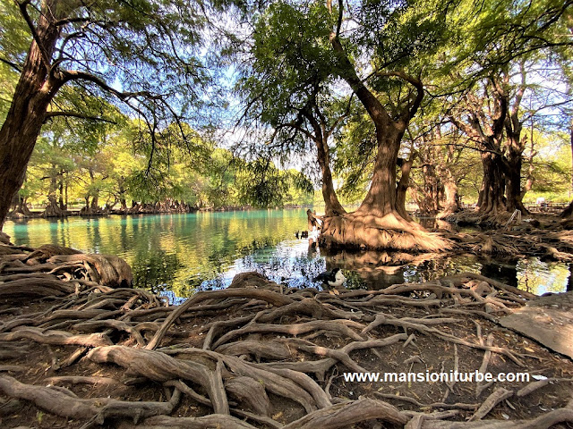 Lago de Camécuaro un Lugar Mágico en Michoacán