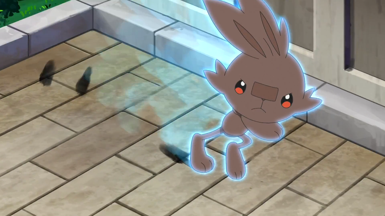 Poké-Arquivo: 813 - Scorbunny ~ PMD || Acervo de Imagens de Digimon e ...