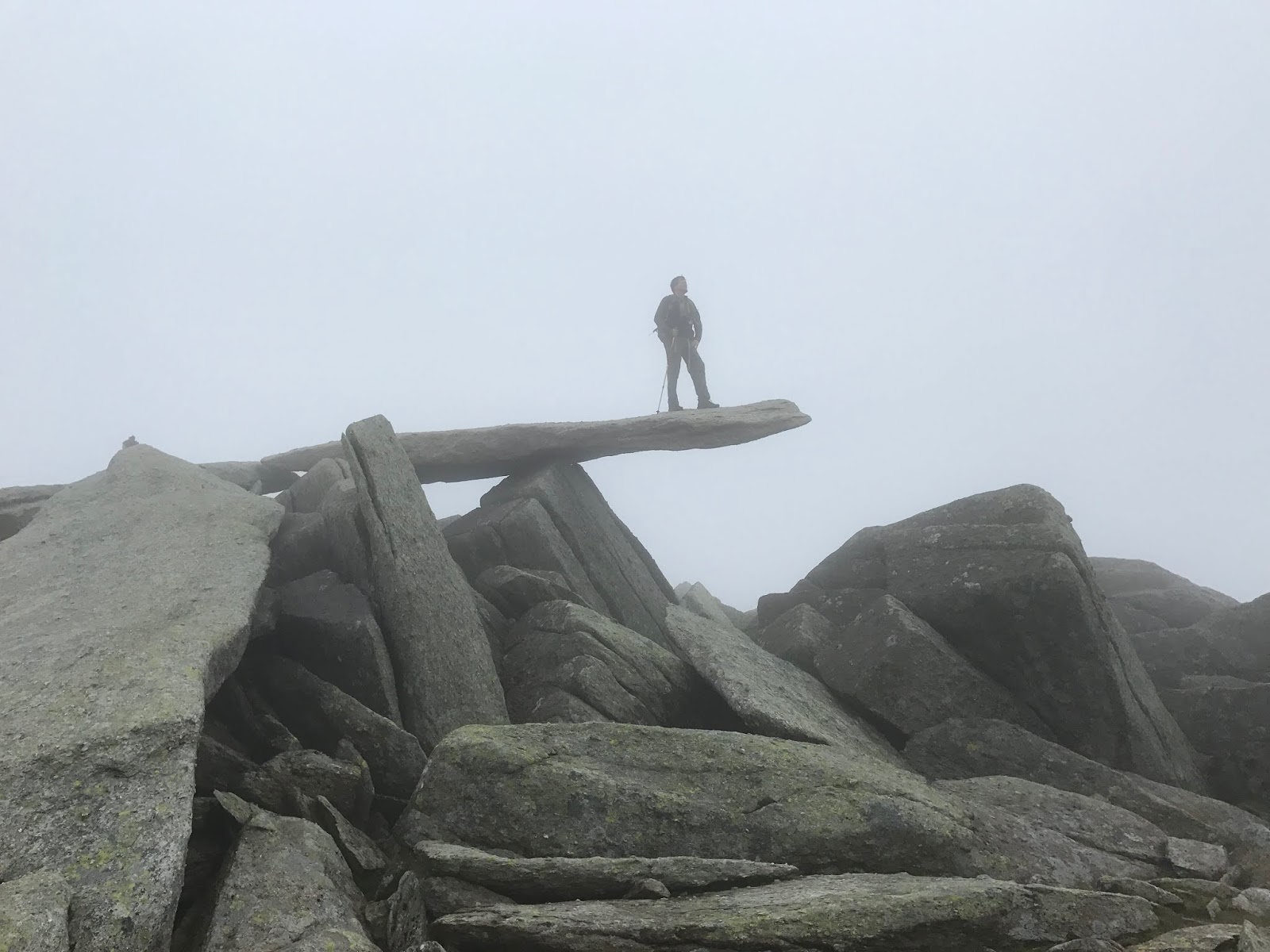 The Helpful Art Teacher: Photography 101: types of camera shots