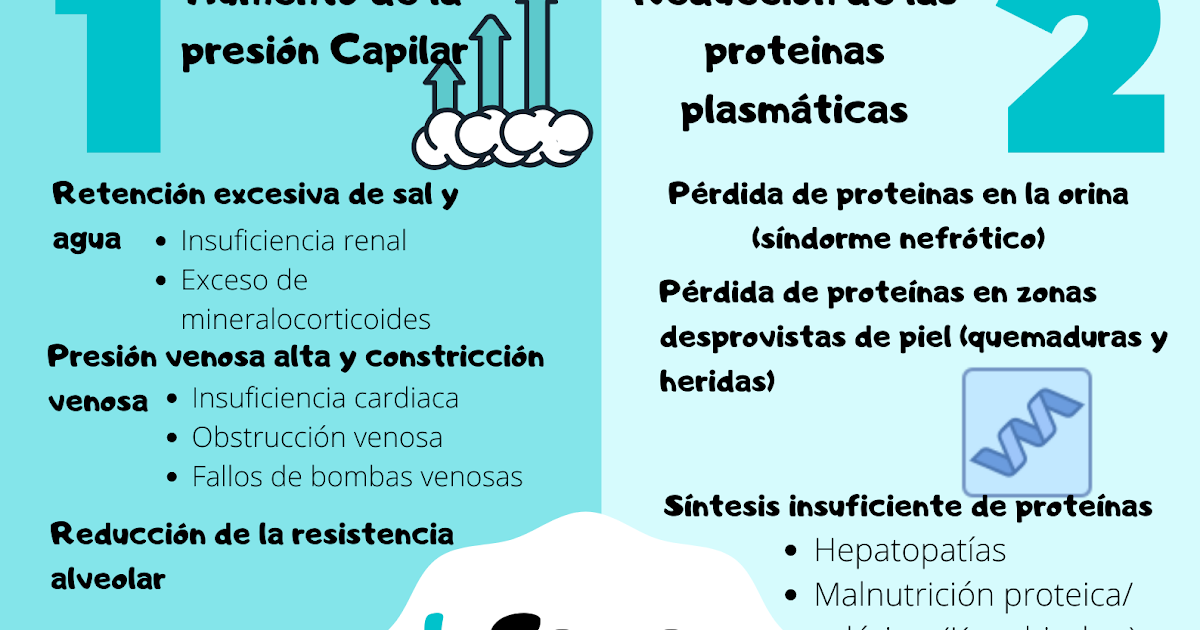 Las 4 causas del edema extracelular (resumen)