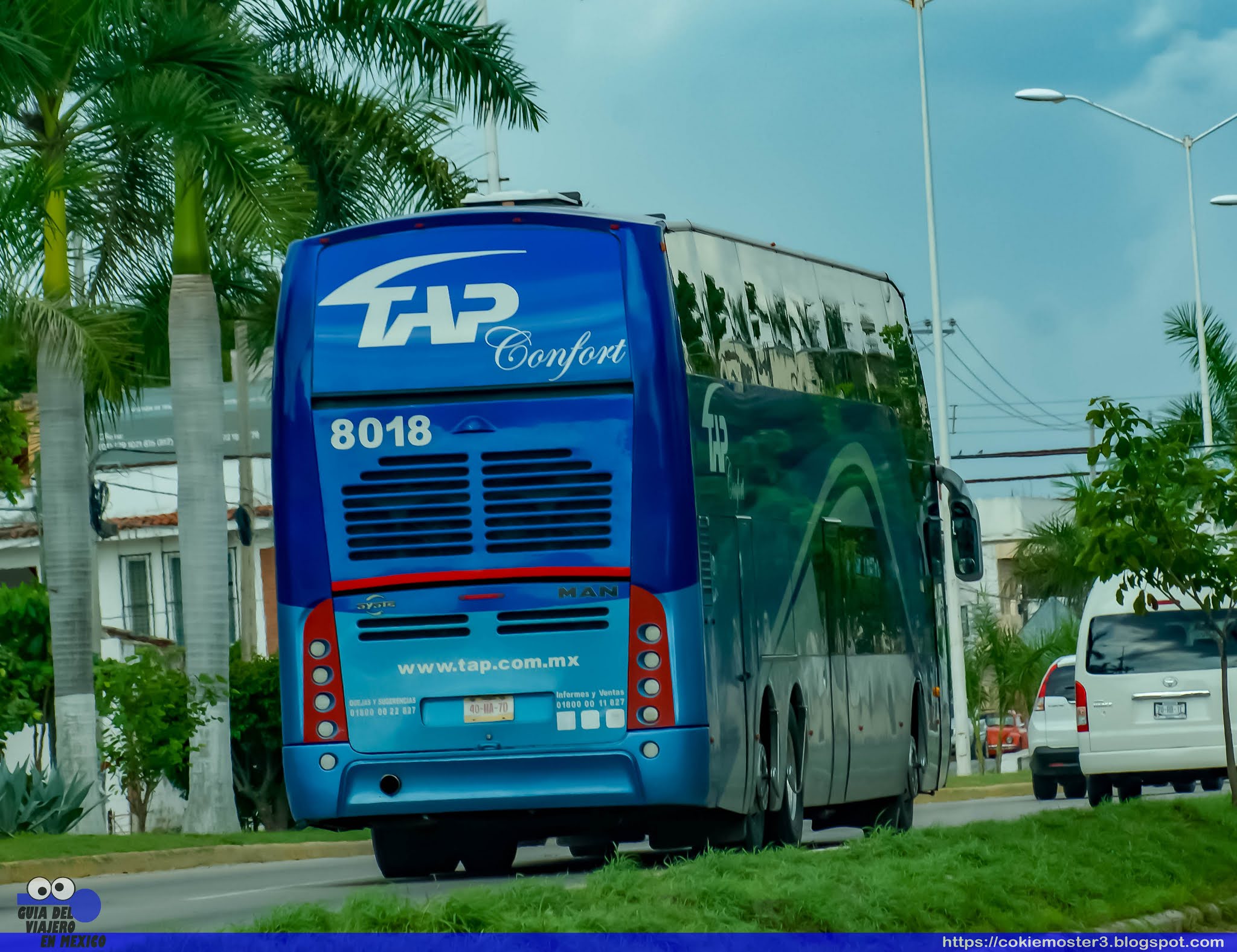 Ayats Eclipse de TAP Confort