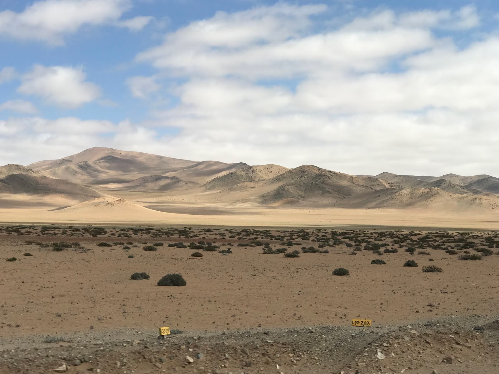 Curioseandando: 2019