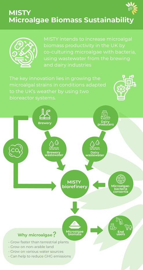 Green Fuels Research wins funding for its Microalgae Biomass ...