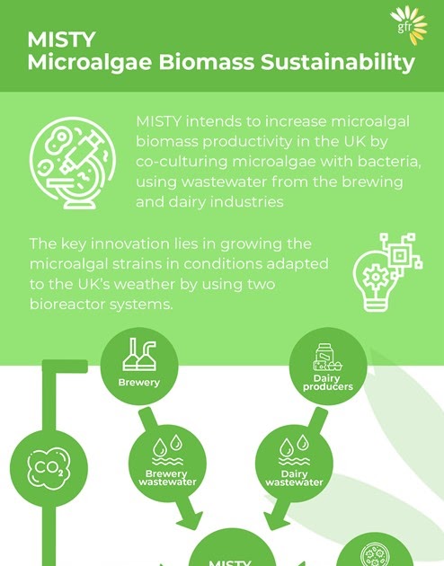Green Fuels Research wins funding for its Microalgae Biomass ...