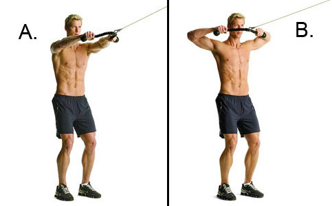 IRFitness: Posterior Deltoid Exercises