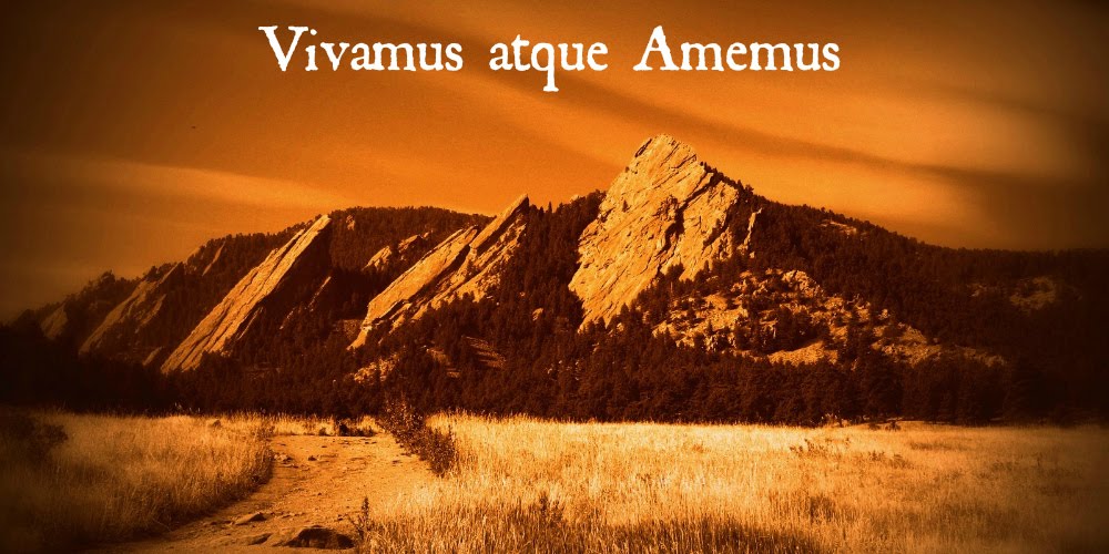 Vivamus atque Amemus