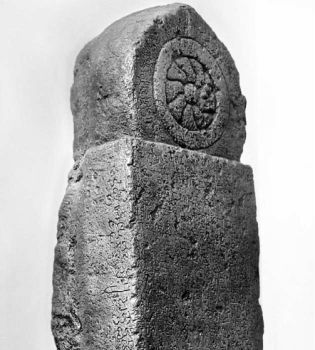 halmidi - JungleKey.in Image