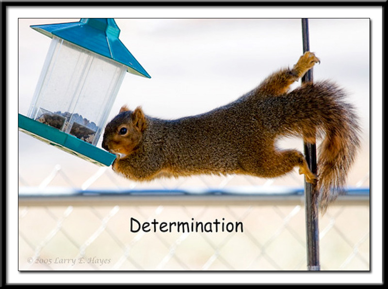 Martin Family Moments: Balance and Determination