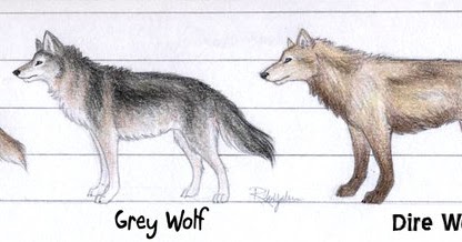 Abe's Animals: Wolf scale
