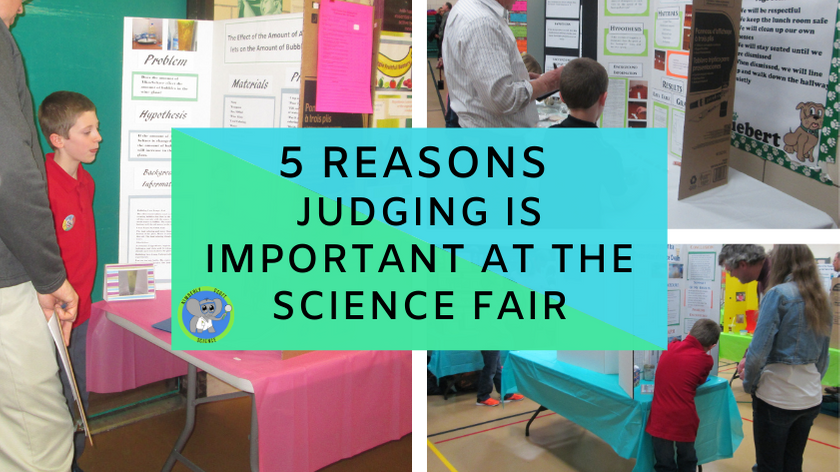 5 Reasons To Have Judges At Your Science Fair