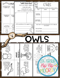 1st Grade Hip Hip Hooray!: Using informational text to research owls!