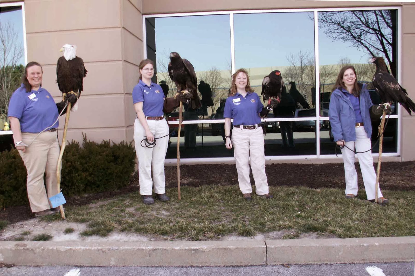 World Bird Sanctuary: Eagle Days Are Here Again!