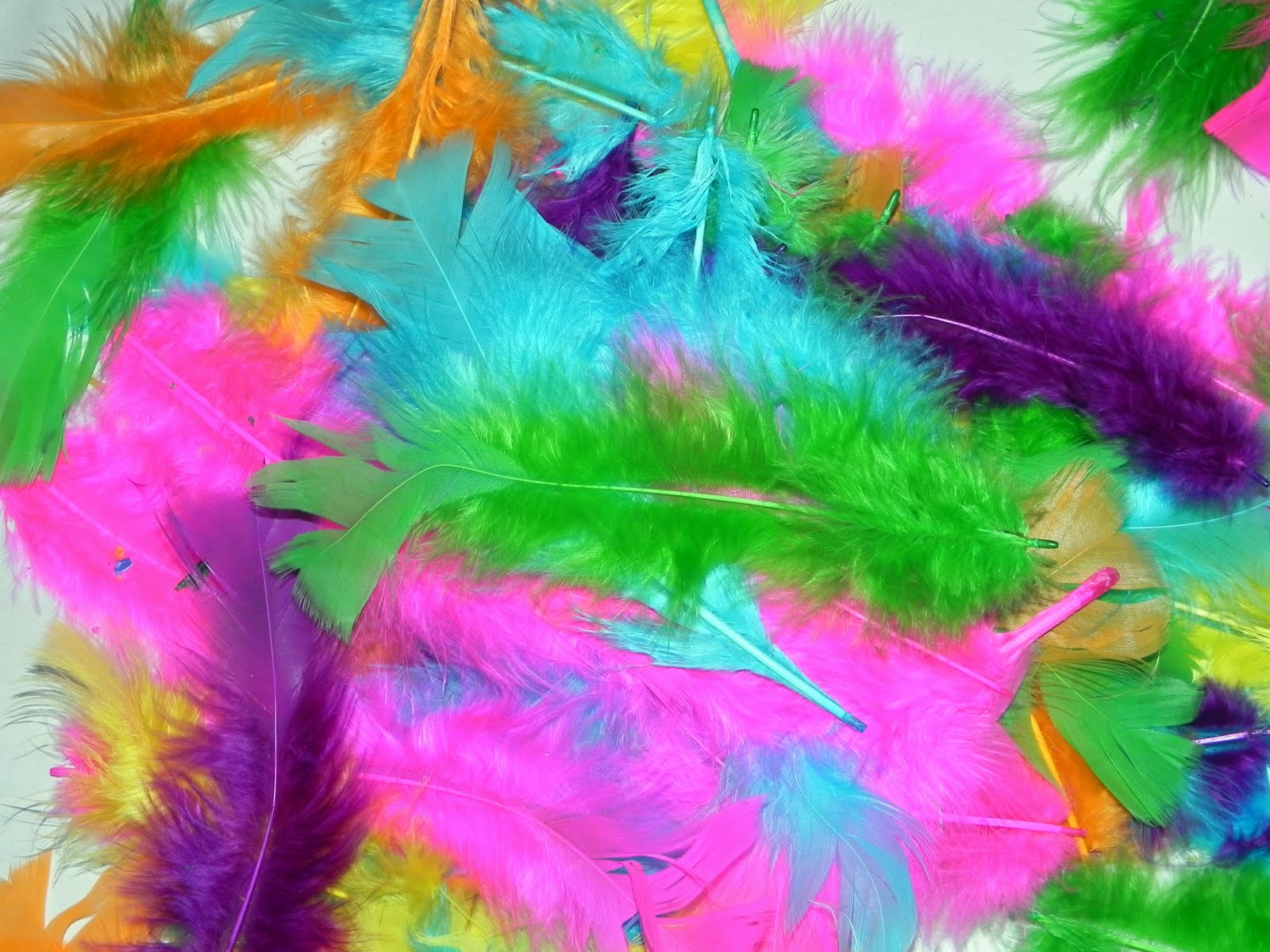 Smart n Snazzy: 30 Days of DIY: Day 12 ~ DIY Neon Feather Earrings