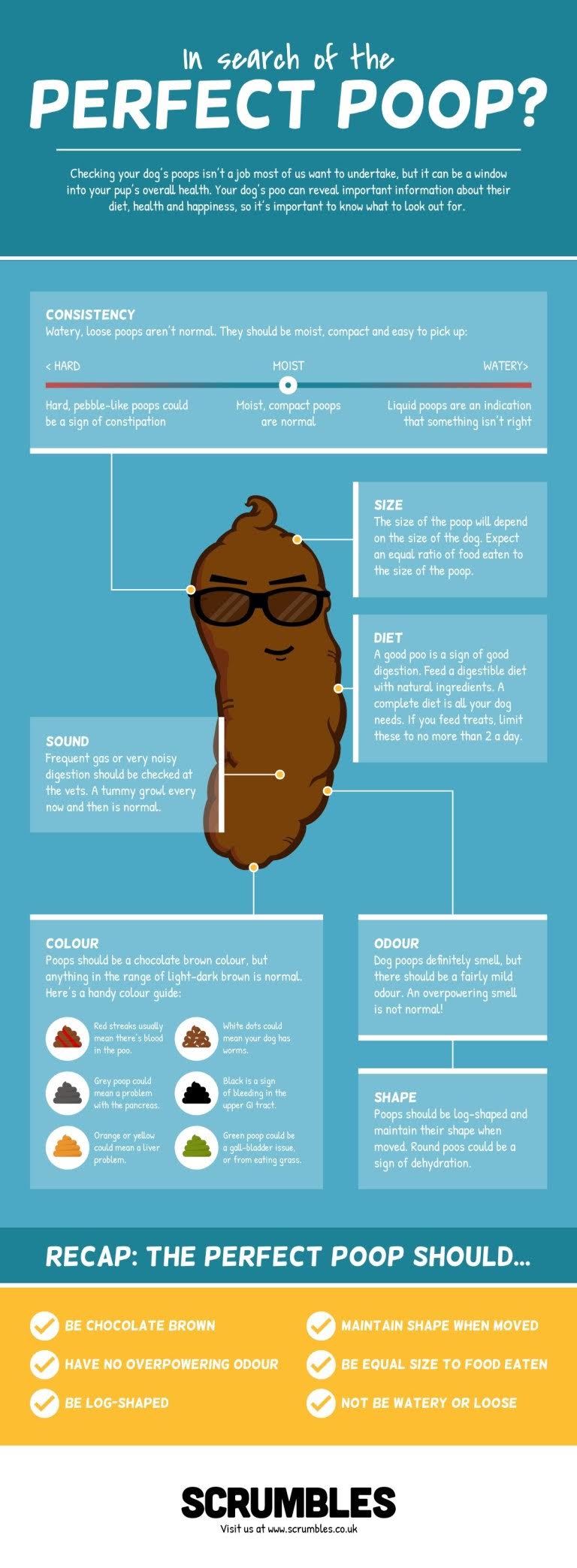 Healthy Dog Poop Chart In Search Of The Perfect Poop infographic healthy-dog-poop-chart-in-search-of-the-perfect-poop-infographic