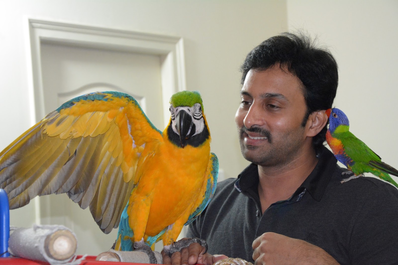 Anand Rama Raju ( Actor ) : Anand Ramraju