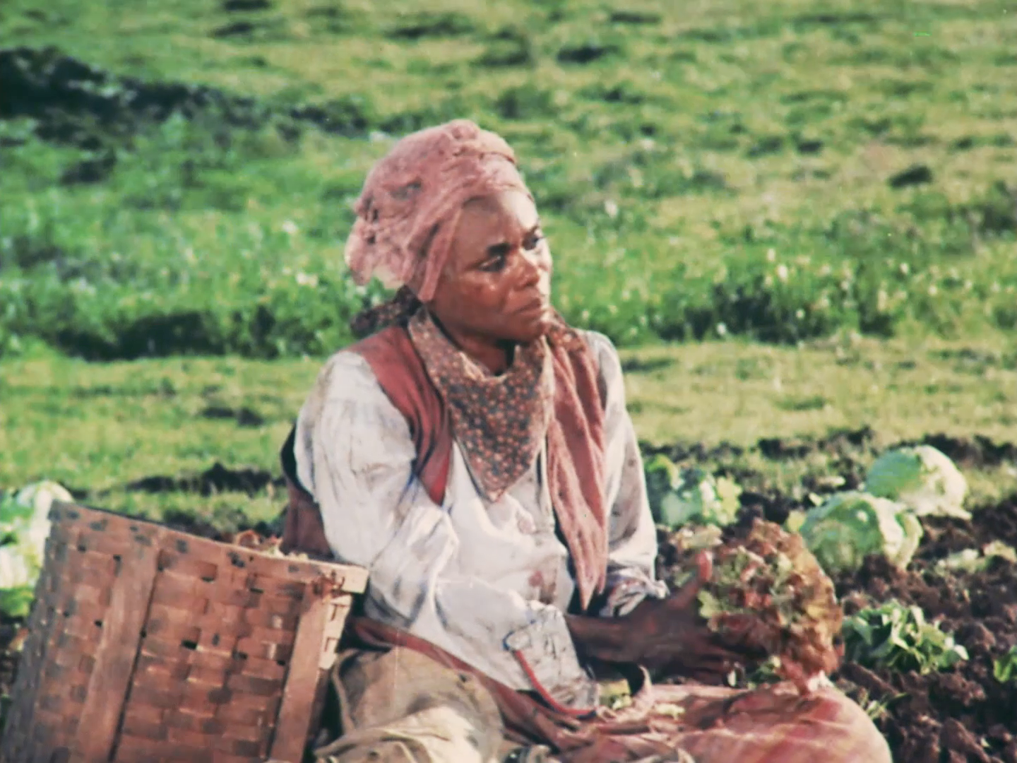 The Department of Afro American Research, Arts and Culture