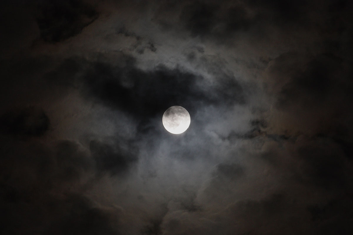 Education of a Pondering Mom: Take Time to Smell the Coffee: A Night Piece