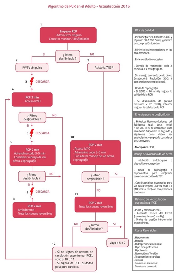 ALGORITMOS DE LA REANIMACIÓN CARDIOPULMONAR AVANZADA