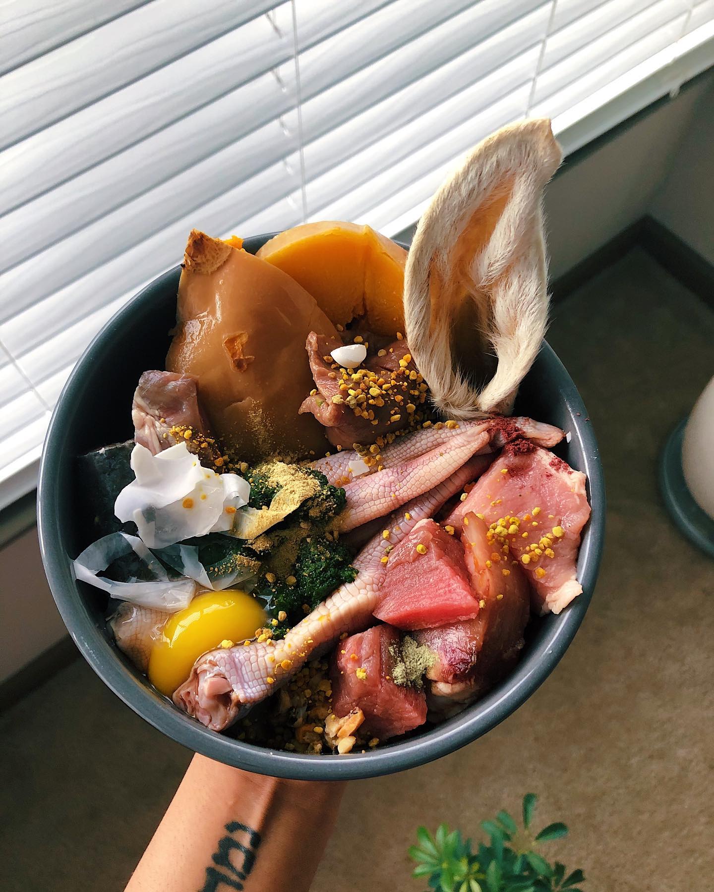 Raw Bowl- Messy Bowl Monday! | Hannah Ra